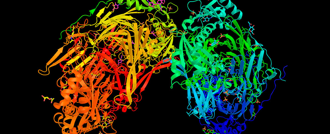 LOX/LOXL: Objetivos moleculares emergentes en la FPI | Avances en ...